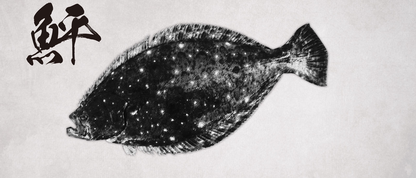 【デジタル魚拓サービス】 Re:Fish リフィッシュ